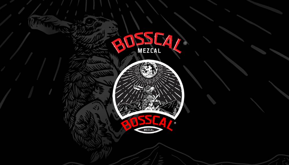 Acerca de Nosotros - BOSSCAL